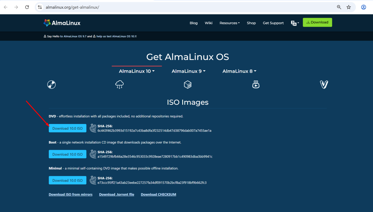 How to Create a Bootable USB Installer for AlmaLinux 10 - Devtutorial